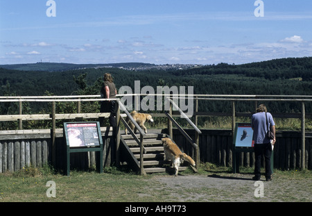 New Fancy Viewpoint; Forest of Dean; UK Stock Photo - Alamy