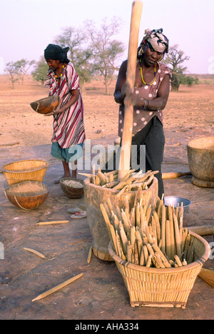 Dogon women pound millet in the village Teli, Dogon country, Mali, West ...