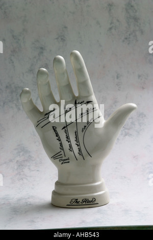 Model of a hand showing the lines that predicts our future on a red ...