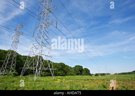 PRESERVES Lakemoor Illinois High tension and voltage power lines run ...