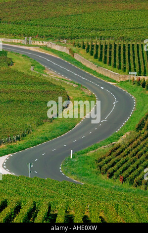 VINEYARDS - SAINT-ROMAIN - BURGUNDY - FRANCE Stock Photo - Alamy