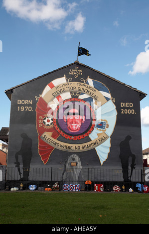 stevie mckeag terrorist uff loyalist wall mural painting west belfast ...