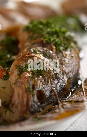 Pike dishes, plate macro 2 Stock Photo - Alamy