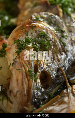 Pike dishes, plate macro 1 Stock Photo - Alamy