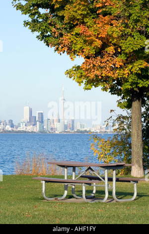 Fall foliage in Toronto Stock Photo - Alamy
