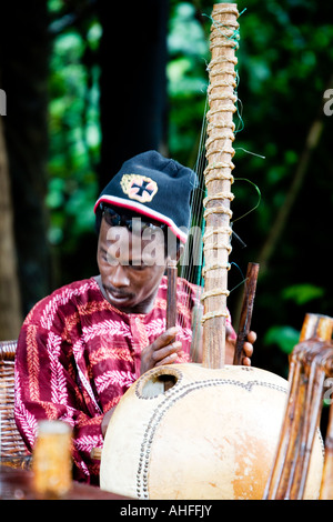 Gambian musician playing the Kora a traditional musical instrument ...