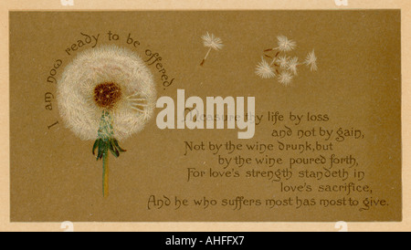 DANDELION CLOCK & PRAYER Stock Photo - Alamy