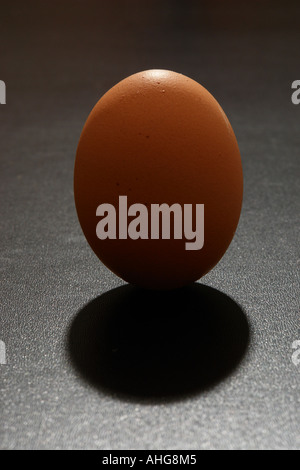 an egg in dramatic lighting Stock Photo - Alamy