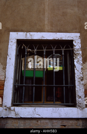 bird cage or bird house for housing birds as pets bird cage or bird ...