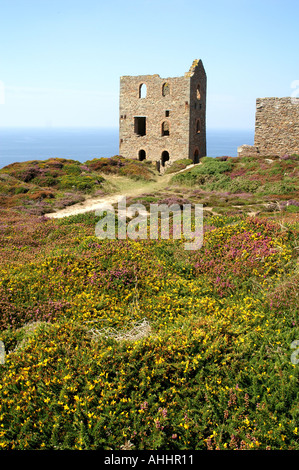 Stamps and wheel engine house ruins Wheal Coates mine on cliffs near ...
