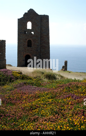 Stamps and wheel engine house ruins Wheal Coates mine on cliffs near ...