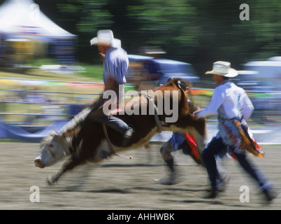 A rodeo rider on a bucking bronco (horse) in front of a crowd (audience ...