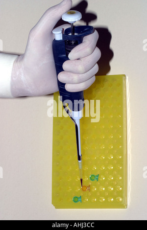 Genomics, Pipetting DNA sample for analysis in lab Stock Photo - Alamy
