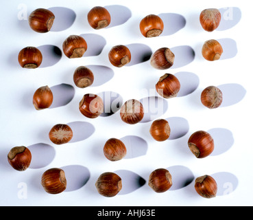 Fresh cropped hazelnuts as food background, macro image Stock Photo - Alamy