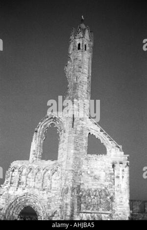 Ruins of St. Andrews Cathedral's West Tower as seen through ancient ...