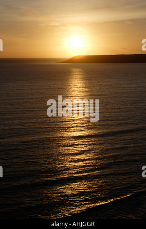 A vertical shot of a calm sunset over the sea with silhouette of trees ...