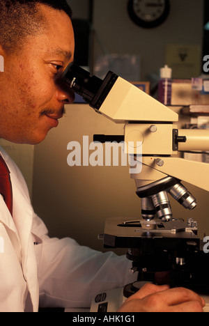 USA Maryland Bethesda MR Geneva Dickens uses pipette to inoculate lab ...