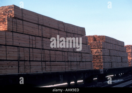 Stacks of tied lumber ready for shipping in a lumberyard Stock Photo ...