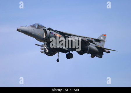 BAe Harrier GR7 Cockpit Canopy & Air Intake Stock Photo - Alamy