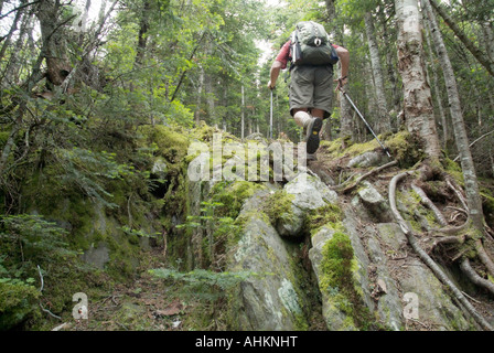 Hiker on Howker Ridge Trail in the White Mountains, New Hampshire USA ...