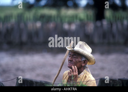 Venezuela Apure State Llaneros cowboy drives cattle herd into muddy ...