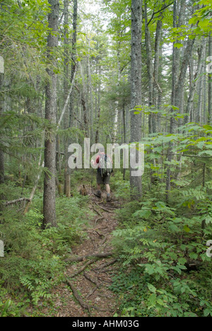 A hiker on Hancock Notch Trail during the summer months Located in the ...