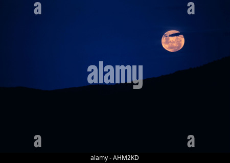 Bad moon rising Stock Photo - Alamy