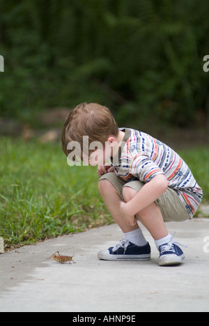boy with bug insects grass hopper grasshopper stepping stepped on ...