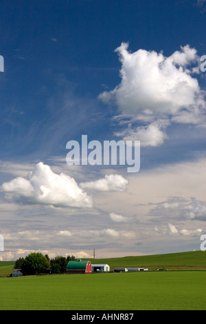 Eastern washington pea farm with rolling hills and clouds Stock Photo ...