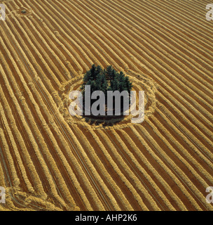 Aerial view of a field with patterns Stock Photo - Alamy