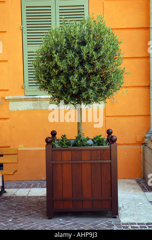 The orange container and the tree Stock Photo - Alamy