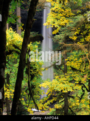 North Falls and fall color. Silver Falls State Park, Oregon Stock Photo ...
