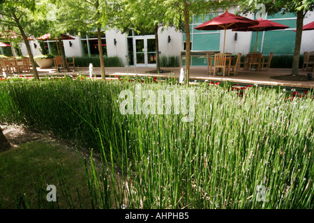 The Woodlands Houston Texas USA Bamboo used around a flower bed Stock ...