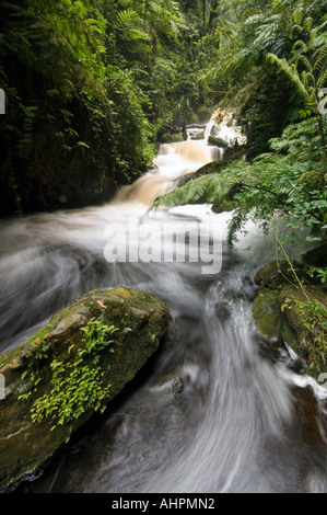 waterfall in Nyungwe forest National Park, Rwanda Stock Photo - Alamy