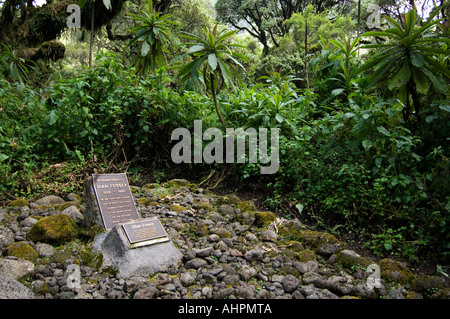 Dian Fossey's grave next to the gorilla graveyard at Karisoke Research ...