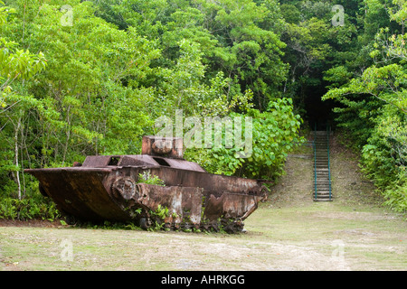 US Amphibious Landing Tank Relic Peleliu Republic of Palau Stock Photo ...
