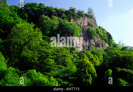 Cliff face at High Tor in Matlock Bath Derbyshire Peak District Stock ...