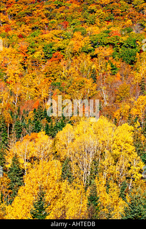 Fall Colors in New Brunswick 11 Stock Photo - Alamy