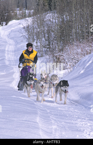 A musher and their dog sled team travel across the icy surface of Camp ...