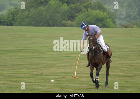 Polo match in Western New York Stock Photo - Alamy