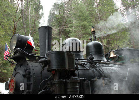 Steam locomotive on the Yosemite Mountain Sugar Pine Railroad outside ...