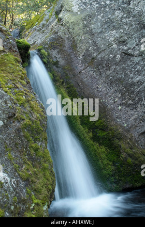 Mossy Falls on the side of King Ravine Trail during the early autumn ...
