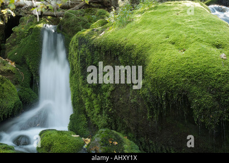 Mossy Falls on the side of King Ravine Trail during the early autumn ...