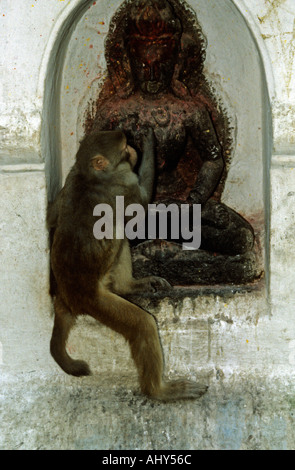 Ancient Buddha statue at Swayambunath Monkey Temple in Kathmandu, Nepal ...