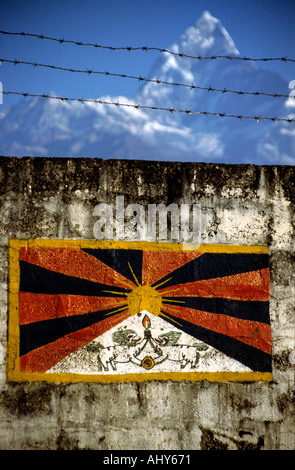 Nepal national flag painted on textured wall mural background Stock ...