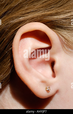 Structure of the human ear Stock Photo - Alamy