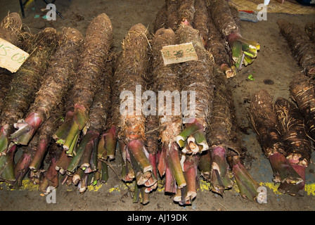 Marketi Fou SAMOA Upolu polynesian polynesia Samoan FOOD vegetable new ...