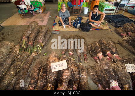 Marketi Fou SAMOA Upolu polynesian polynesia Samoan FOOD vegetable new ...