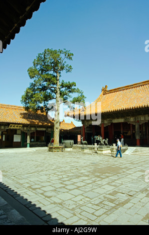 Zijin Cheng The Forbidden City Palace Museum Unesco World Heritage Site ...