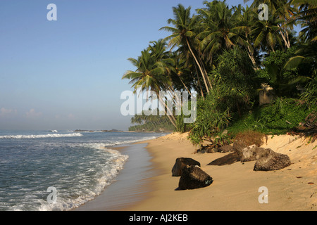 Beach of Talpe in Sri Lanka Stock Photo - Alamy